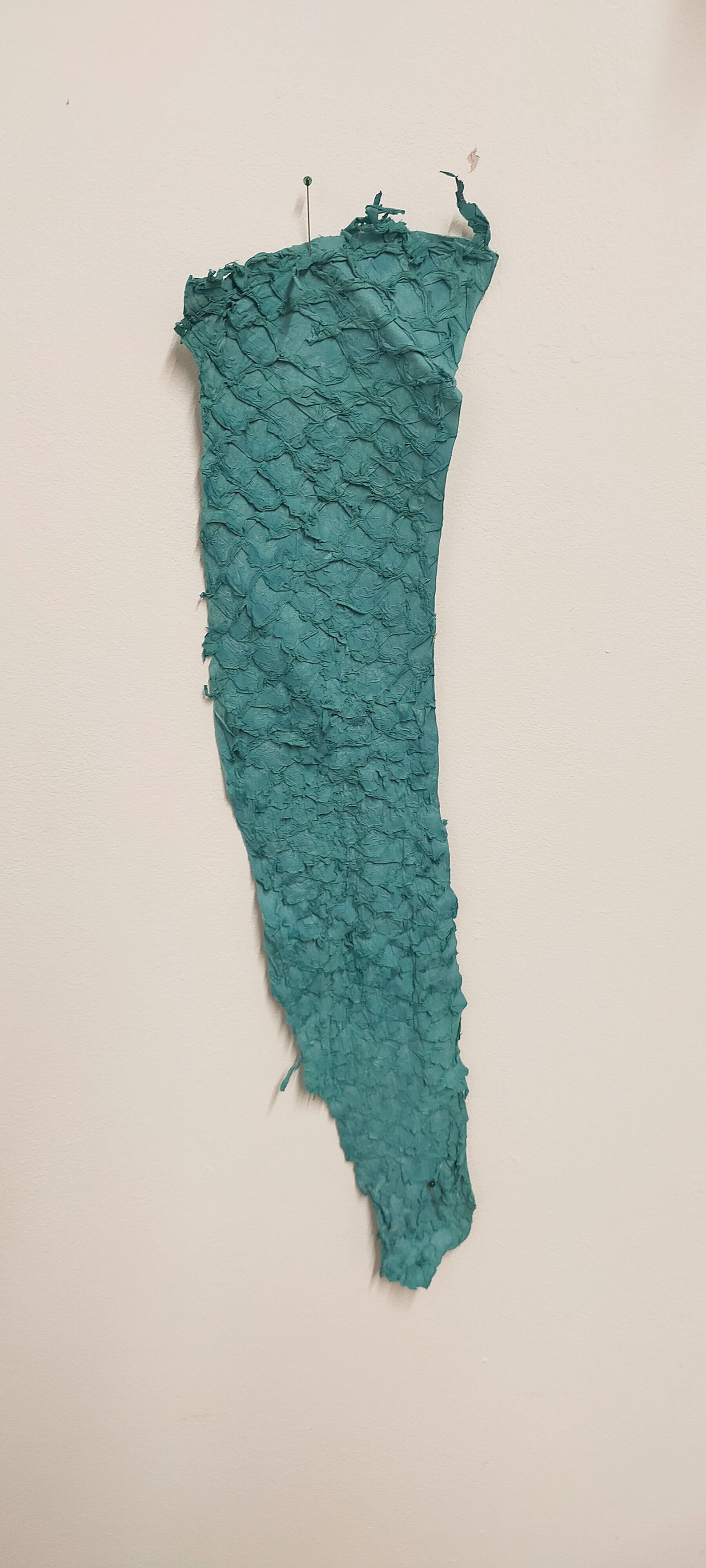 Carp Fish Skin Leather - Etsy