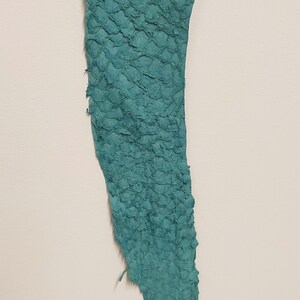 Carp Fish Skin Leather - Etsy