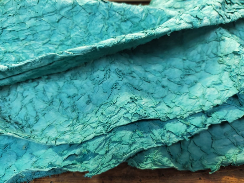 Carp Fish Skin Leather - Etsy