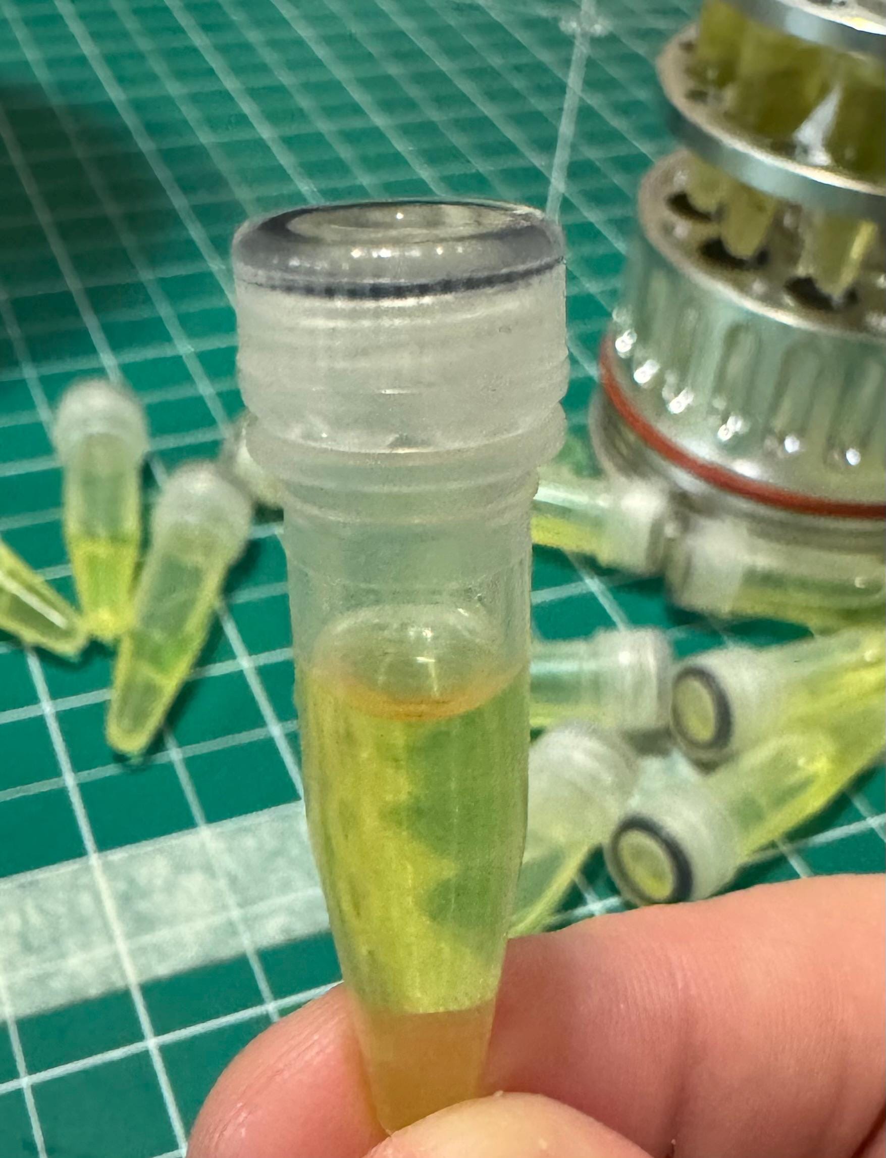 JURASSIC PARK Screen-accurate Dinosaur Embryo Vial - (PER Vial) Custom ...