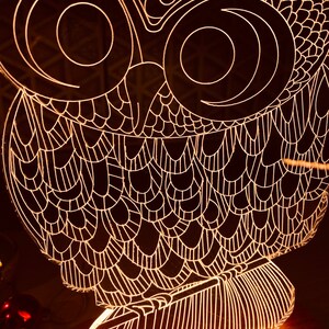 Gift for Him, Owl Led Light, Owl Lover Gift, 3d Night Lamp, 3d Led Lamp ...