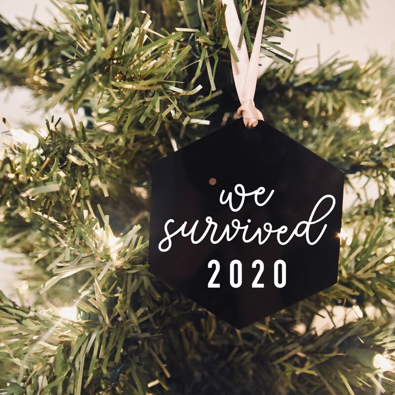 We Survived 2020 Ornament - Etsy