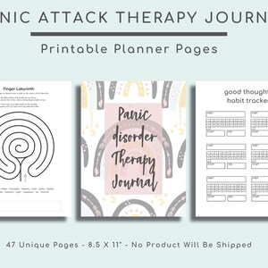 Panic Attack Therapy Journal, Panic Disorder, DSM5, Counseling Relief ...