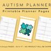 Autism Awareness Puzzle Pieces Autistic Behavior Special - Etsy