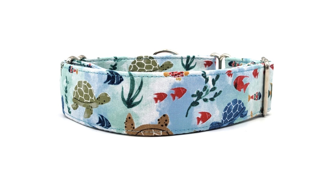 Sea Turtles & Fish Dog Collar - Light Blue Collar - Boy or Girl Collar ...