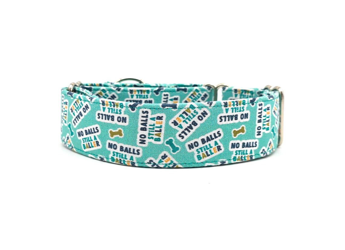No Balls Still A Baller Dog Collar - Humorous Collar - Teal Blue Collar ...