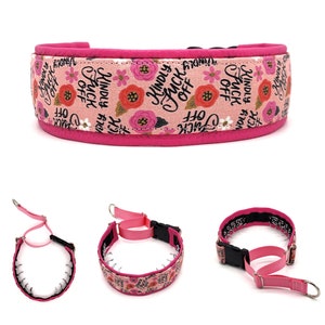 Hidden Prong Training Dog Collar - Real Leather - 2 Inch Wide Collar ...