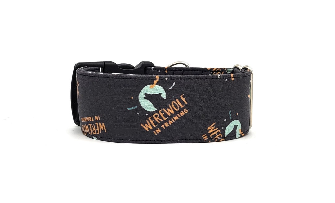 Werewolf in Training Dog Collar - Halloween Collar - Fantasy Collar - Etsy