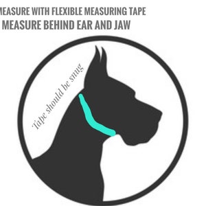 CUSTOM Hidden Prong Training Dog Collar - Real Leather - 2 Inch Wide ...