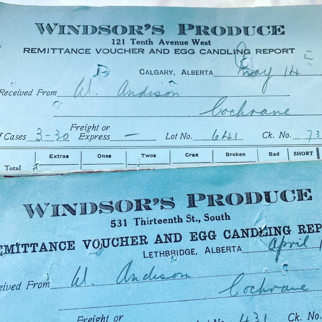 Windsors Produce 1931 Invoice Receipts Egg Candling - Etsy