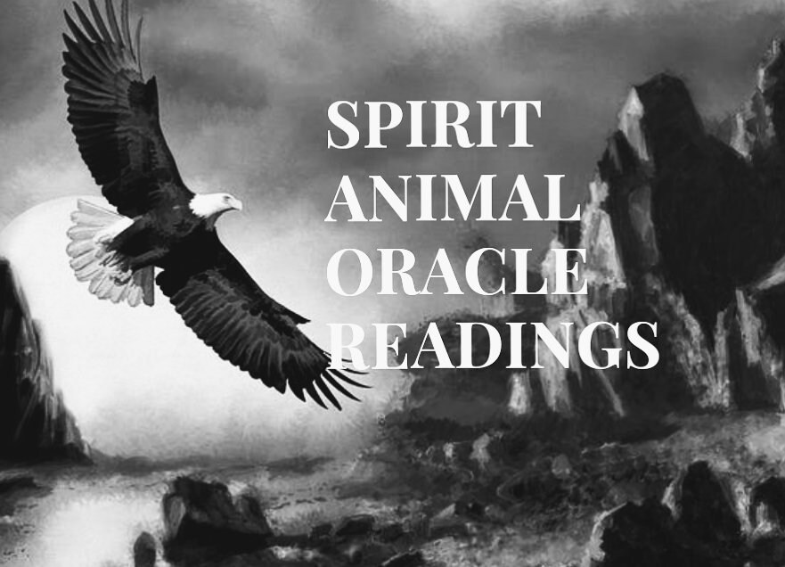 Spirit Animal Psychic Reading to Meet Your Power Animal Totem Animal ...