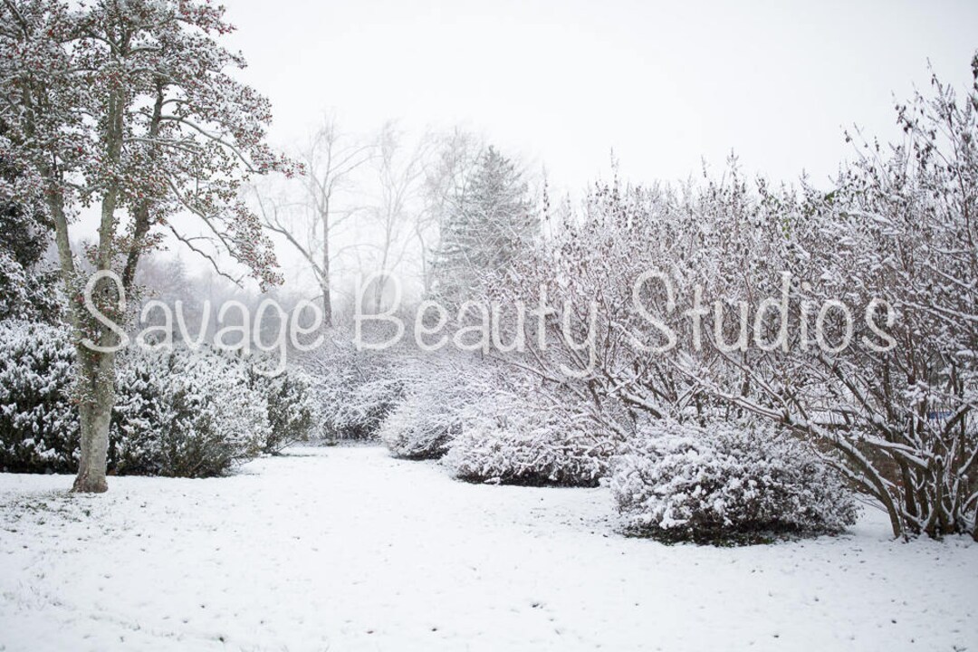 Digital Backdrop, Winter Wonderland, Digital Download, Winter Backdrop ...