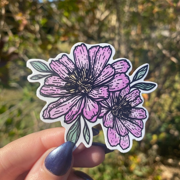 Bitterroot Flower - Etsy