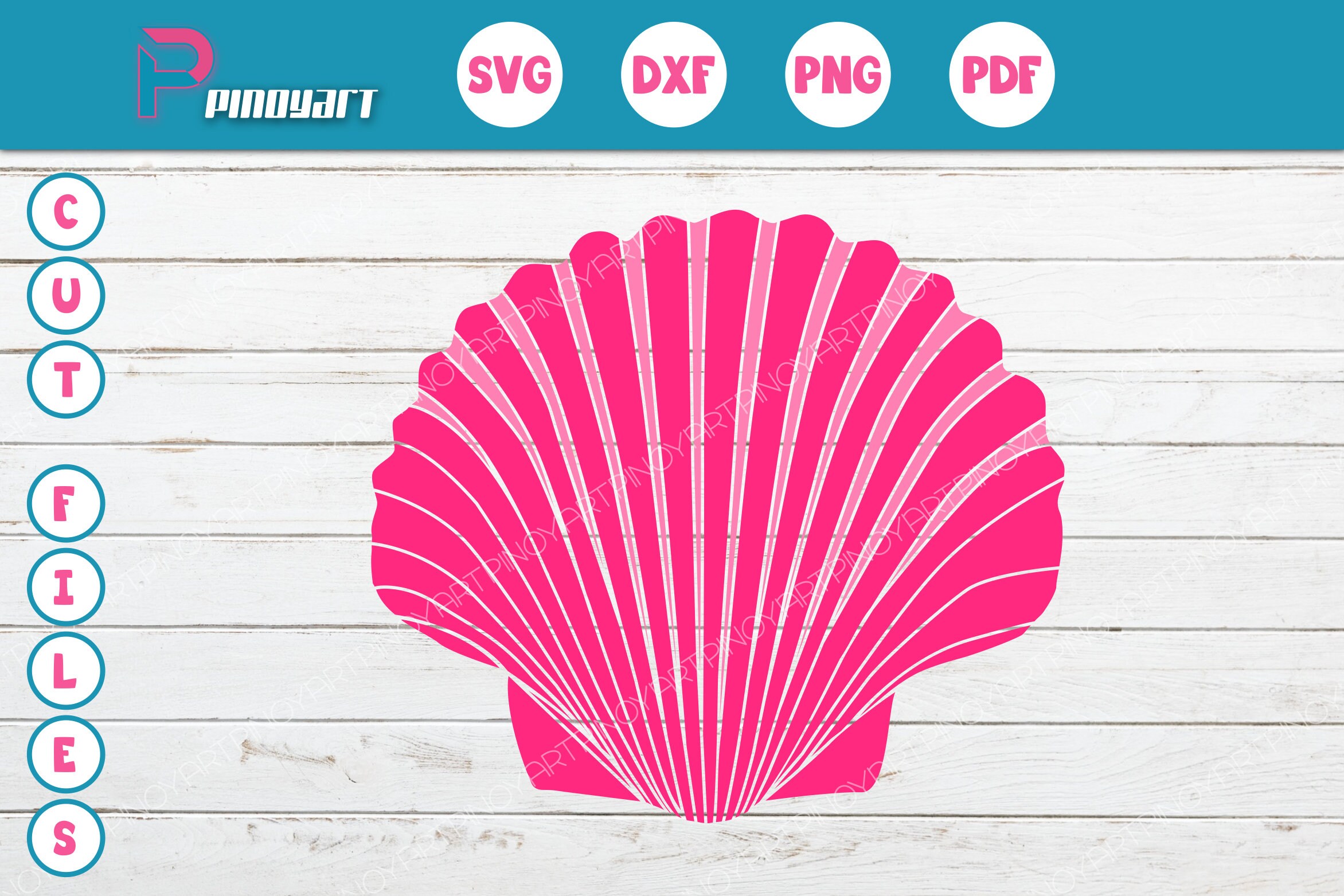 shell svg shell svg seashell svg clam svg shell svg file | Etsy