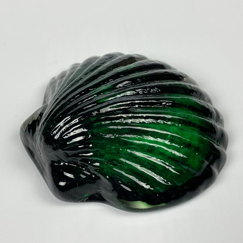 Green Seashells - Etsy