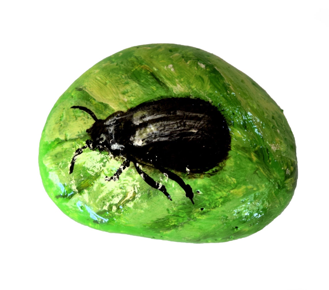 Bug on a Leaf Pebble Art Bug Painted Rock Nature Art Black - Etsy
