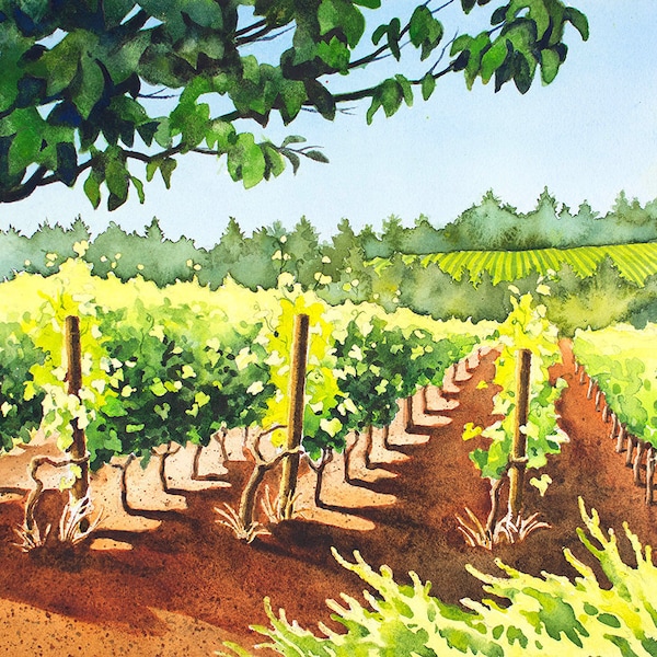 Vineyard Art - Etsy