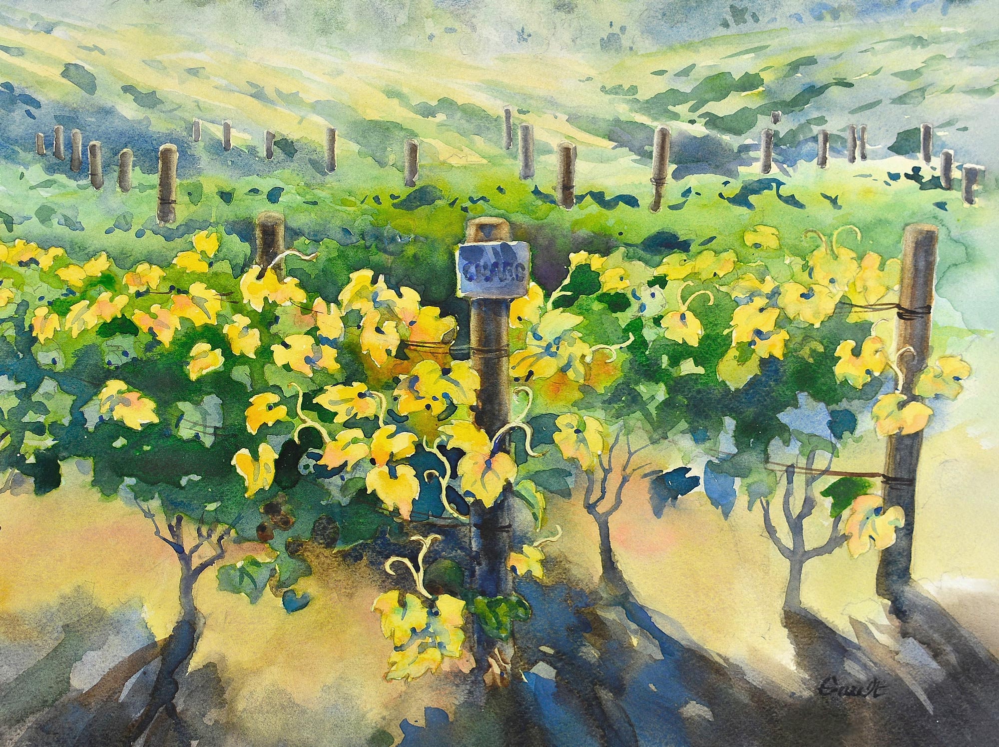Framed Canvas Print “vineyard Sunrise" Watercolor Landscape Painting - Etsy