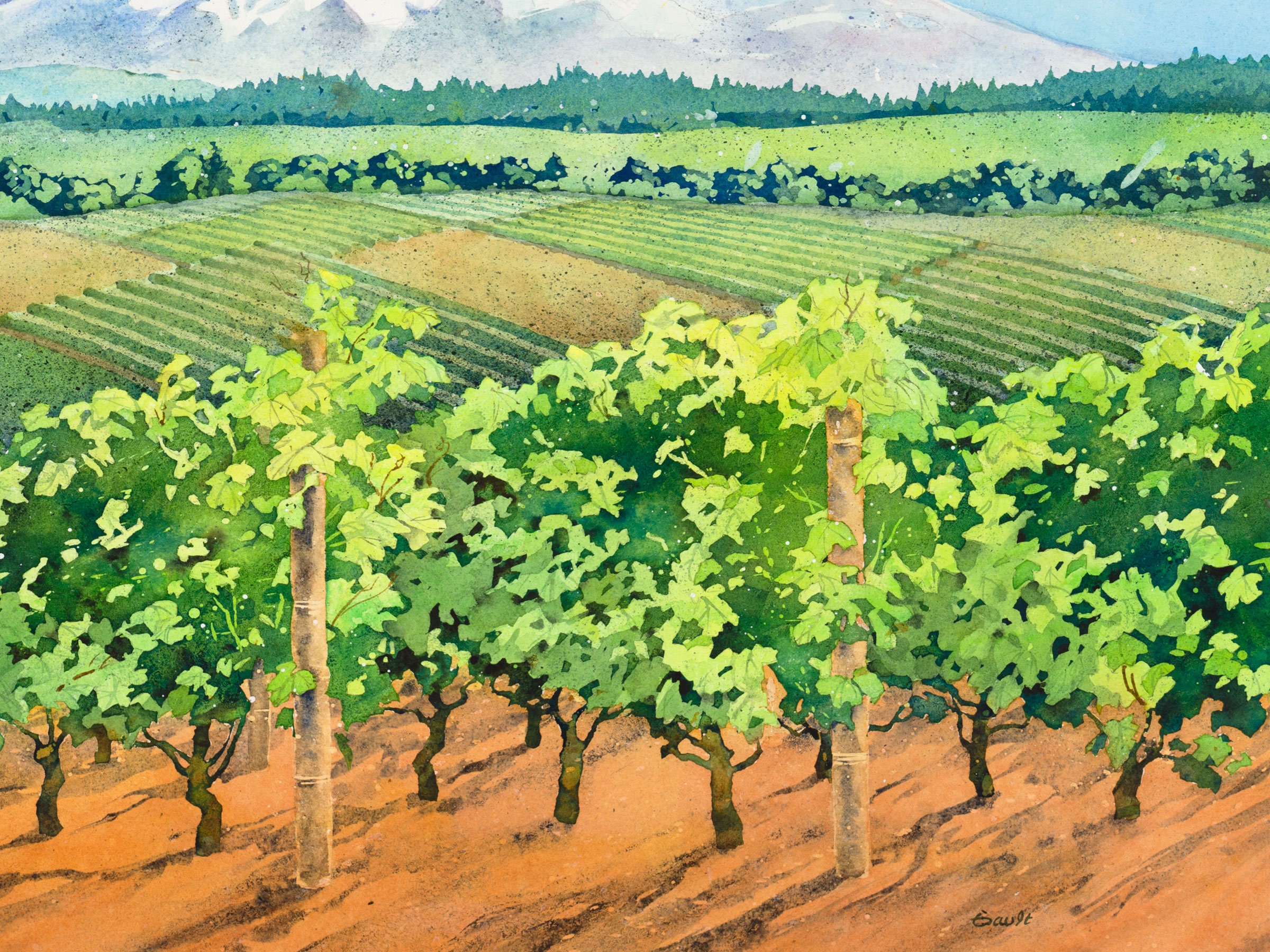 Vineyard Art Print "floating Over Valley Vineyards" Watercolor ...
