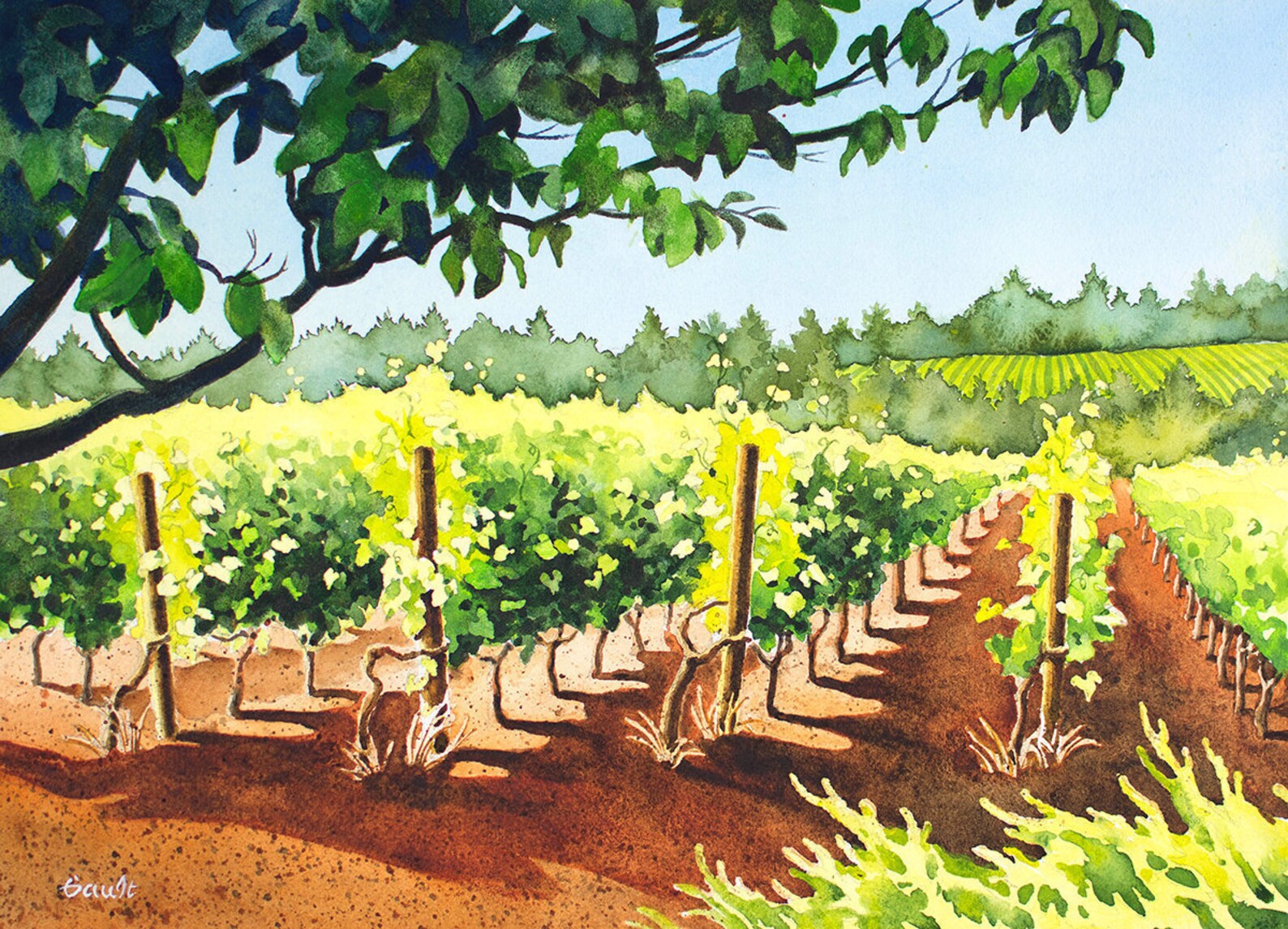 Vineyard Art Print "radiant Rows of Pinot" Watercolor Landscape ...