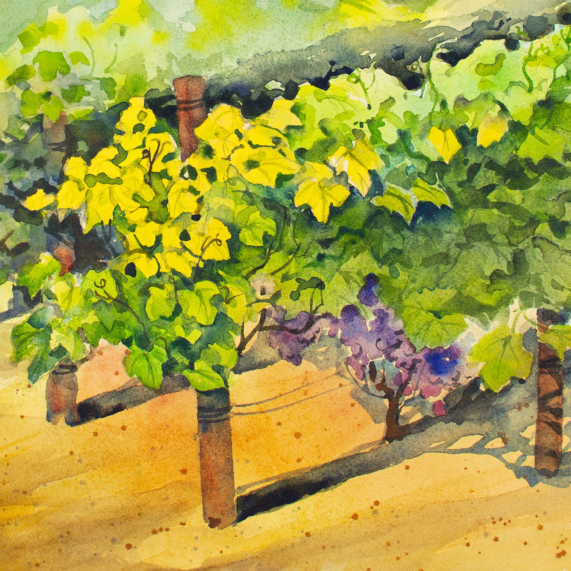 Vineyard Watercolor Art Print, Oregon Wine Country Landscape, Hand ...