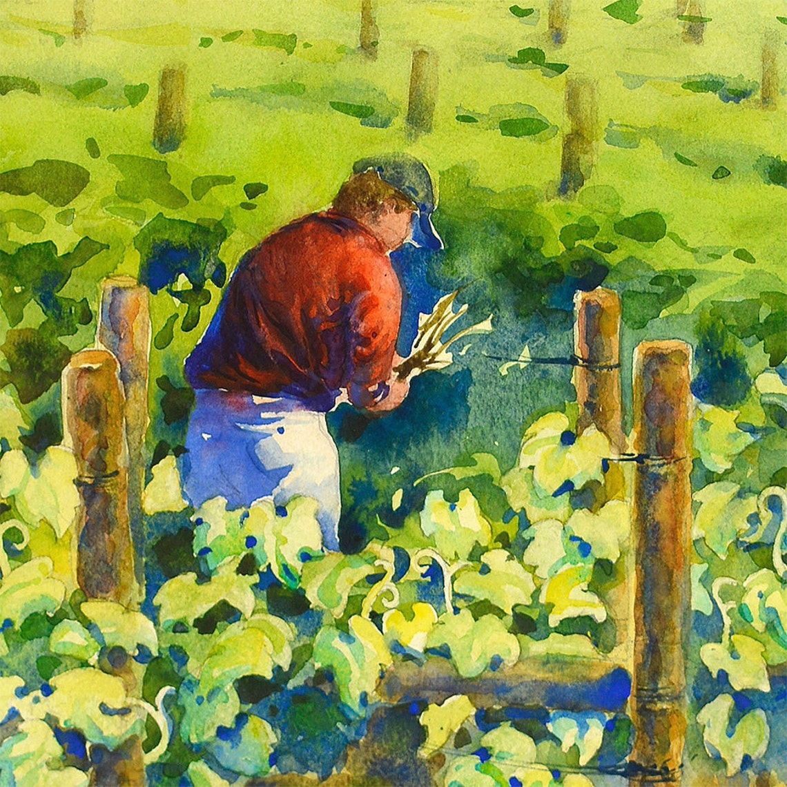 Willamette Valley Vineyard Art Print, Watercolor Landscape Painting - Etsy