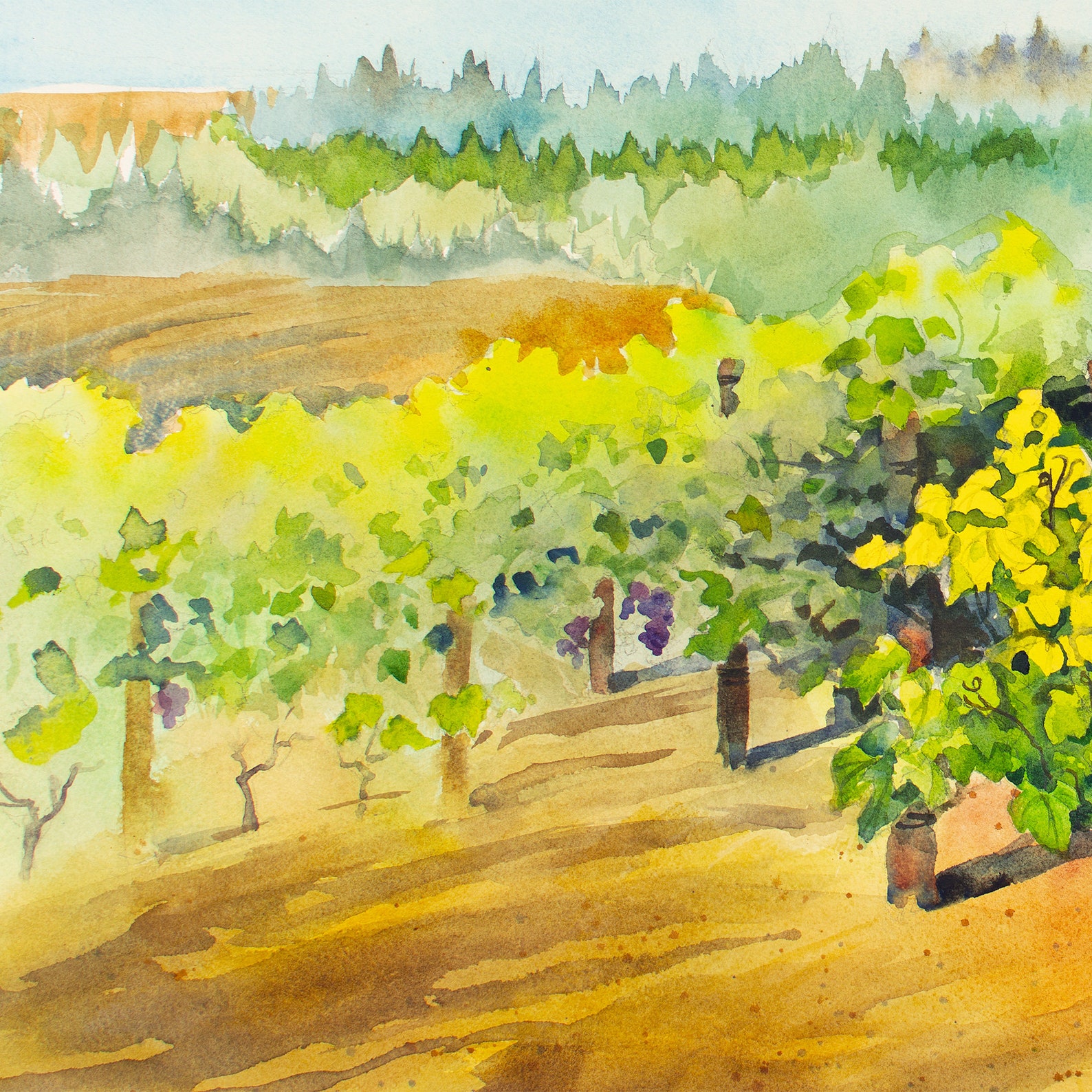 Vineyard Watercolor Art Print, Oregon Wine Country Landscape, Hand ...