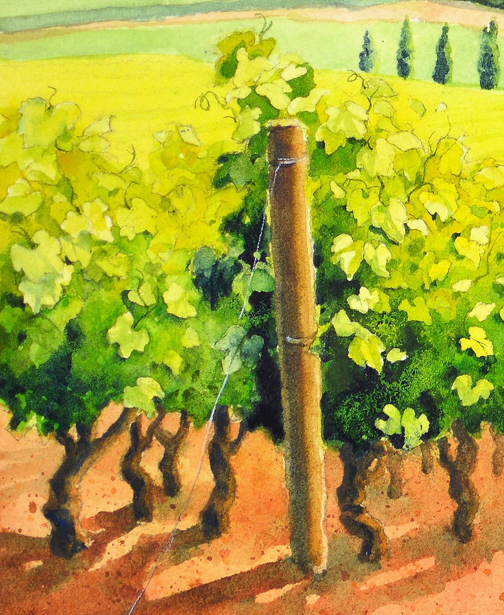 Vineyard Art Print "luminous Hilltop Vineyard" Watercolor Landscape Painting, Hand-signed Art ...