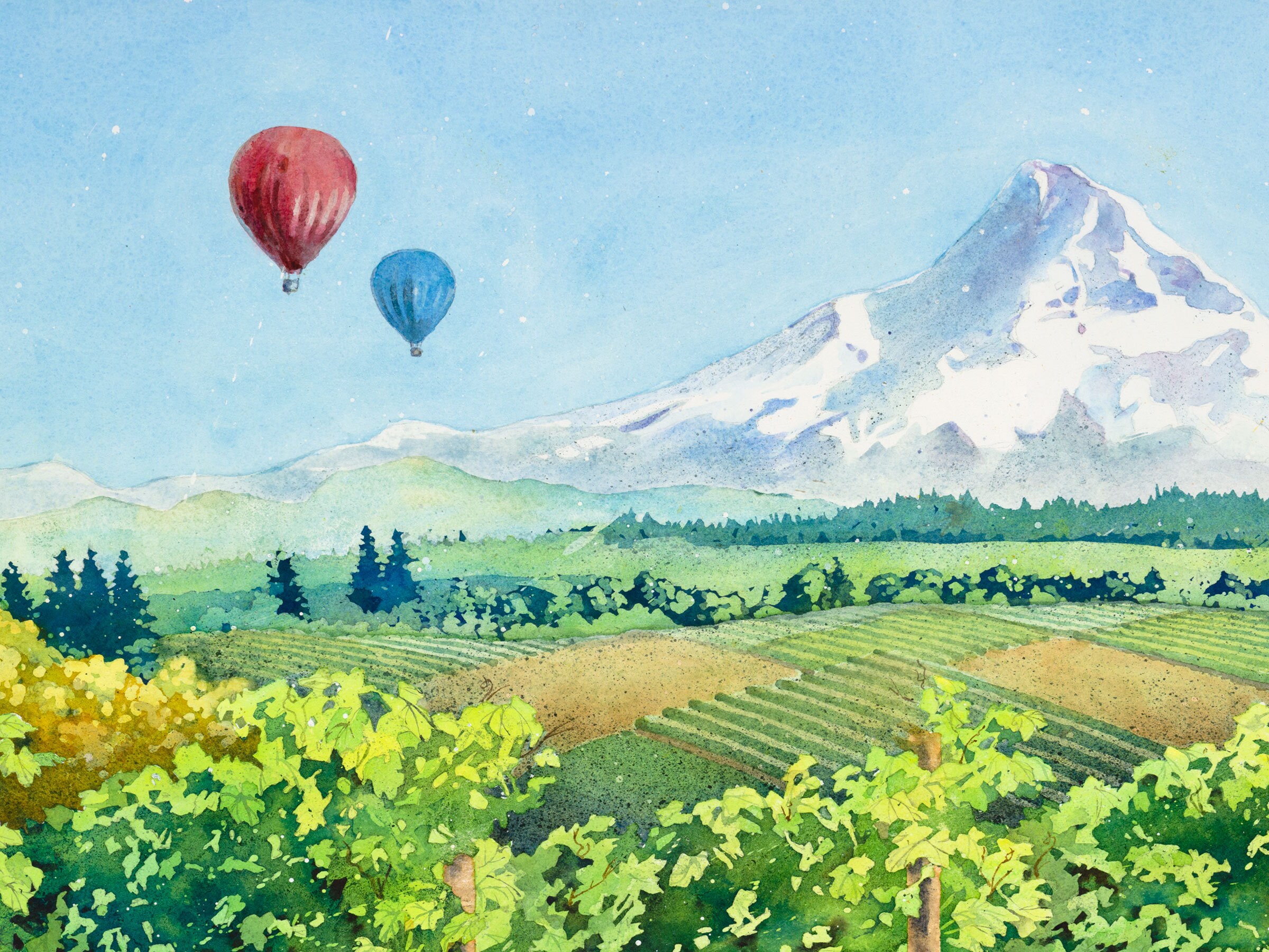 Vineyard Art Print "floating Over Valley Vineyards" Watercolor ...