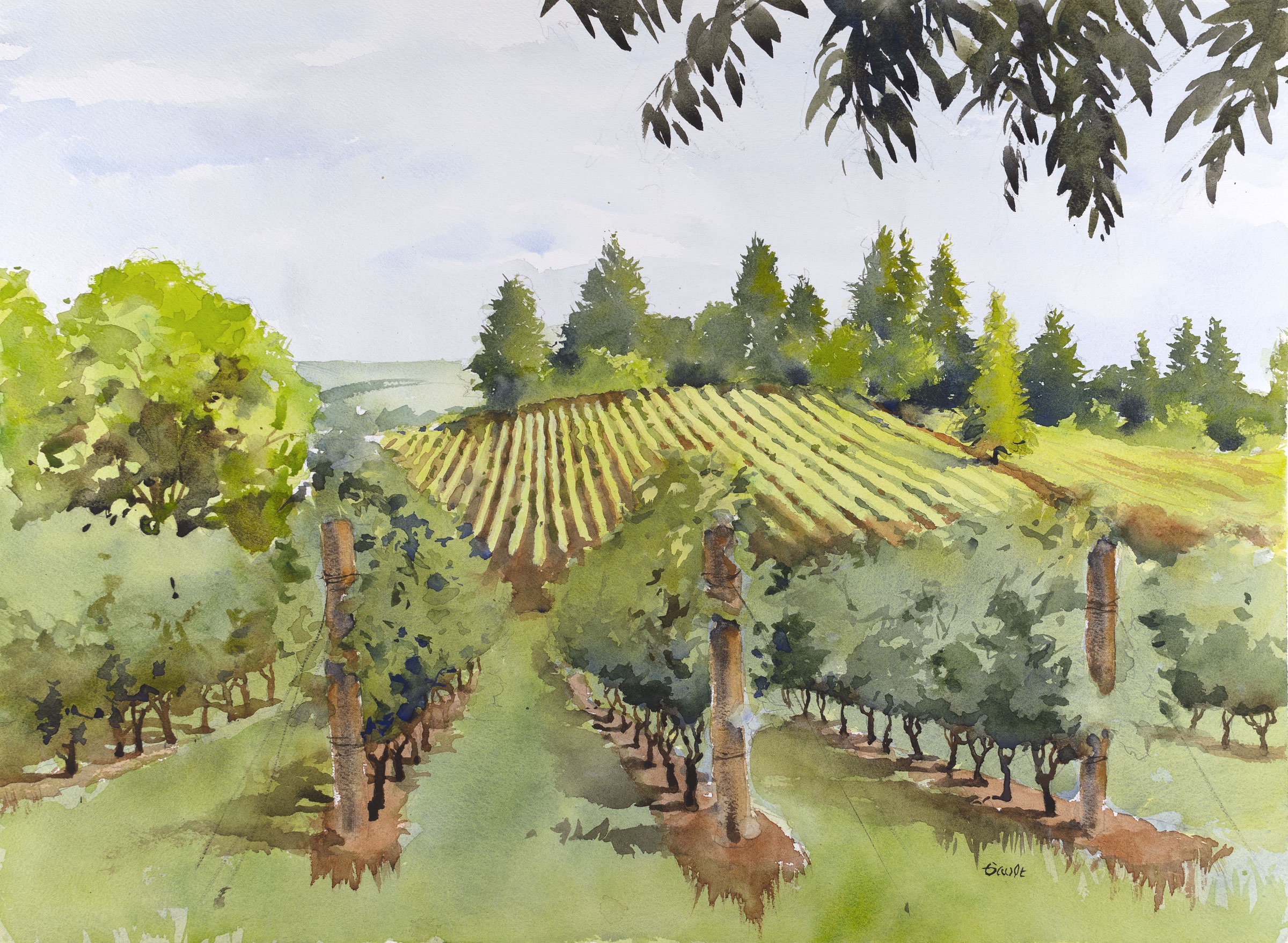 Original Watercolor Painting “vineyard Among the Firs”, Vineyard ...