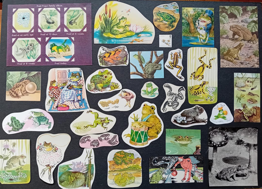 Vintage 30 Piece Frogs and Toads Paper Ephemera Inspiration Scrap Pack ...
