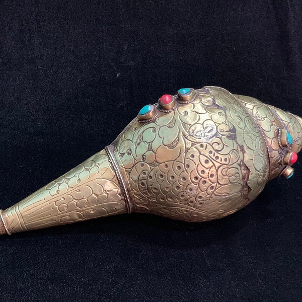 Nepal Conch Shell - Etsy