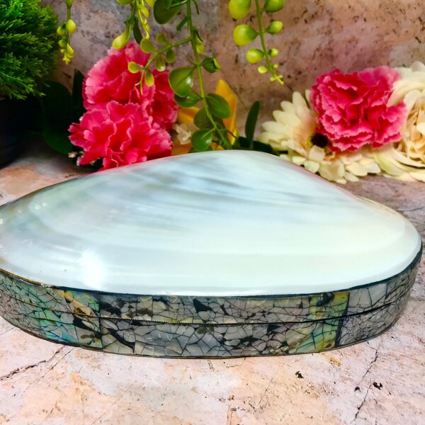 Box With Shells - Etsy