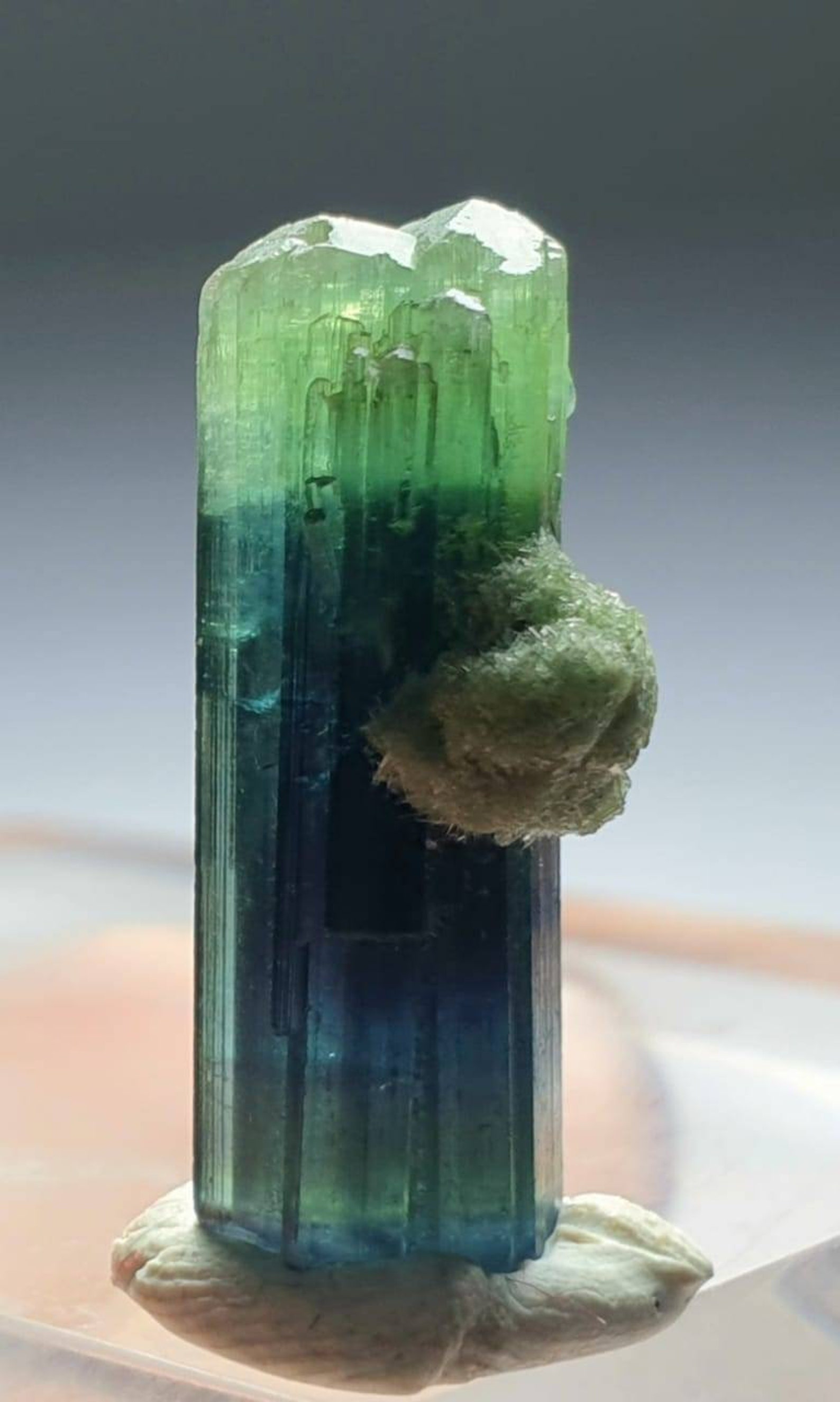 Indicolite bi color tourmaline double terminated crystal | Etsy