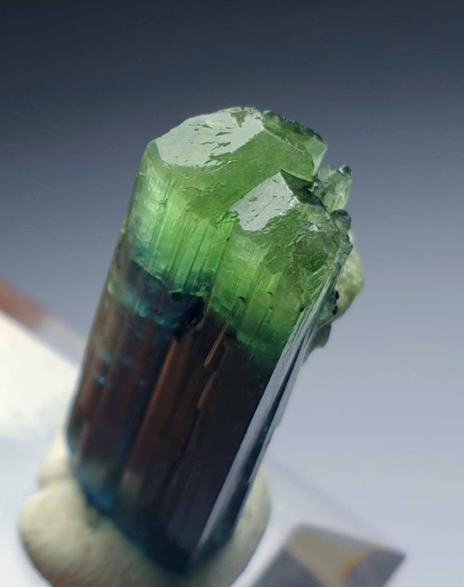 Indicolite bi color tourmaline double terminated crystal | Etsy