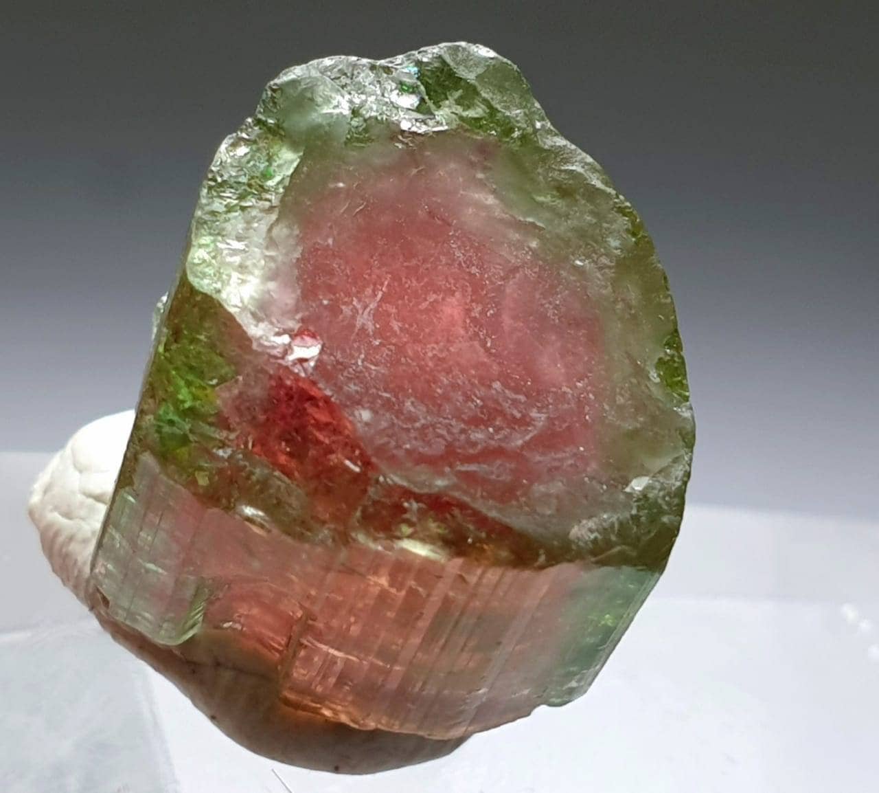 Watermelon Tourmaline Rough
