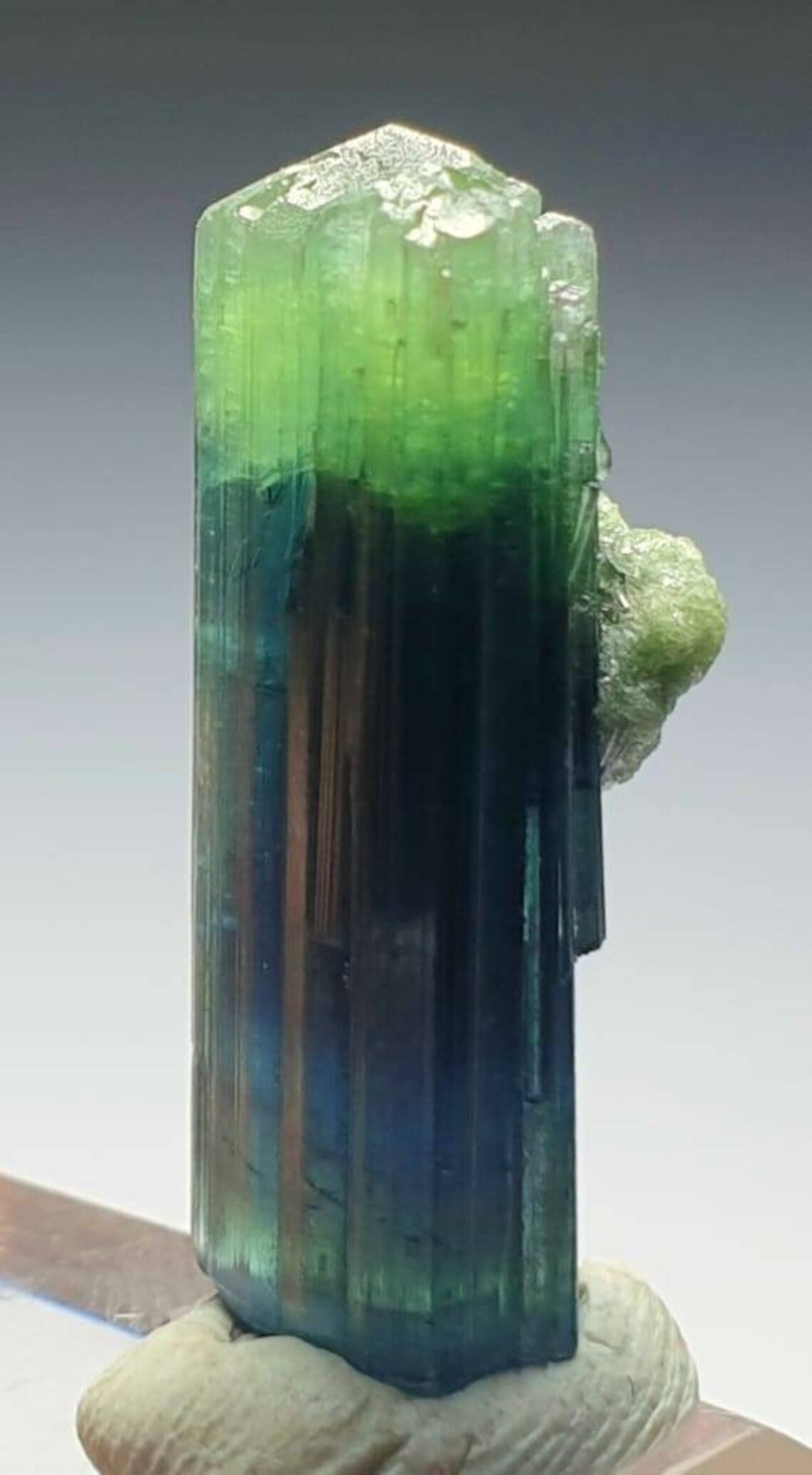 Indicolite bi color tourmaline double terminated crystal | Etsy