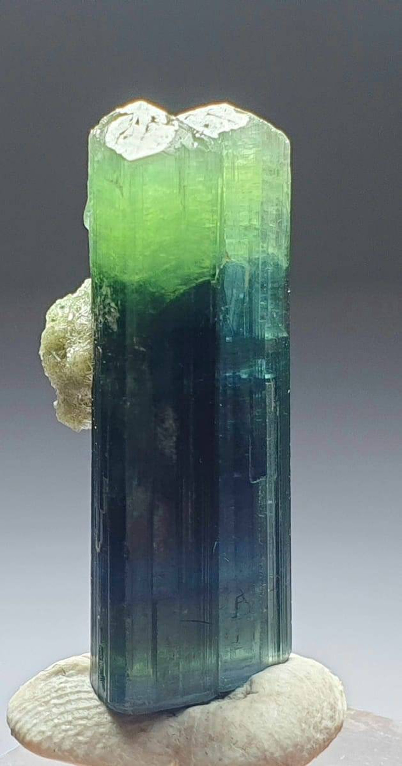 Indicolite bi color tourmaline double terminated crystal | Etsy