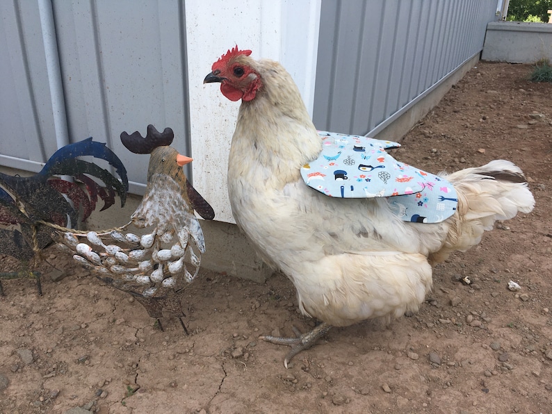 Chicken Saddle With Wing Protector Chicken Aprons With Wing | Etsy
