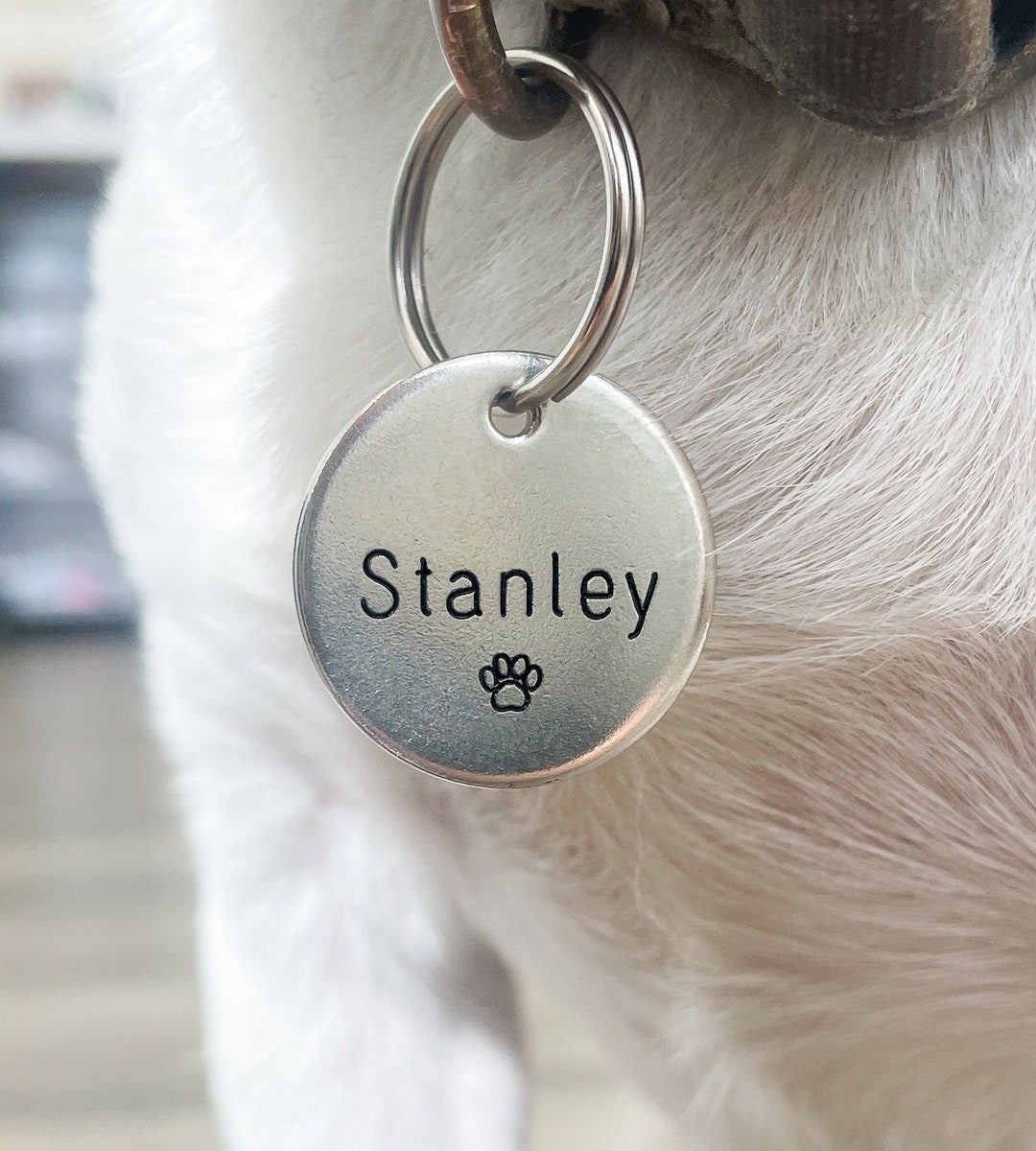 Personalized Dog Tag - Paw Print Dog Tag Design Engraved Tag - Cat ID ...