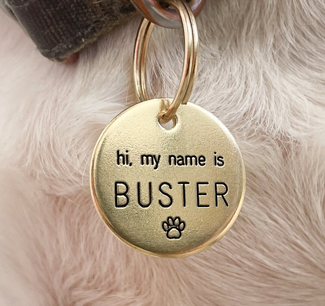 Personalized Dog Tag - Hi My Name is - Engraved Pet Tag - Cat ID Tag ...
