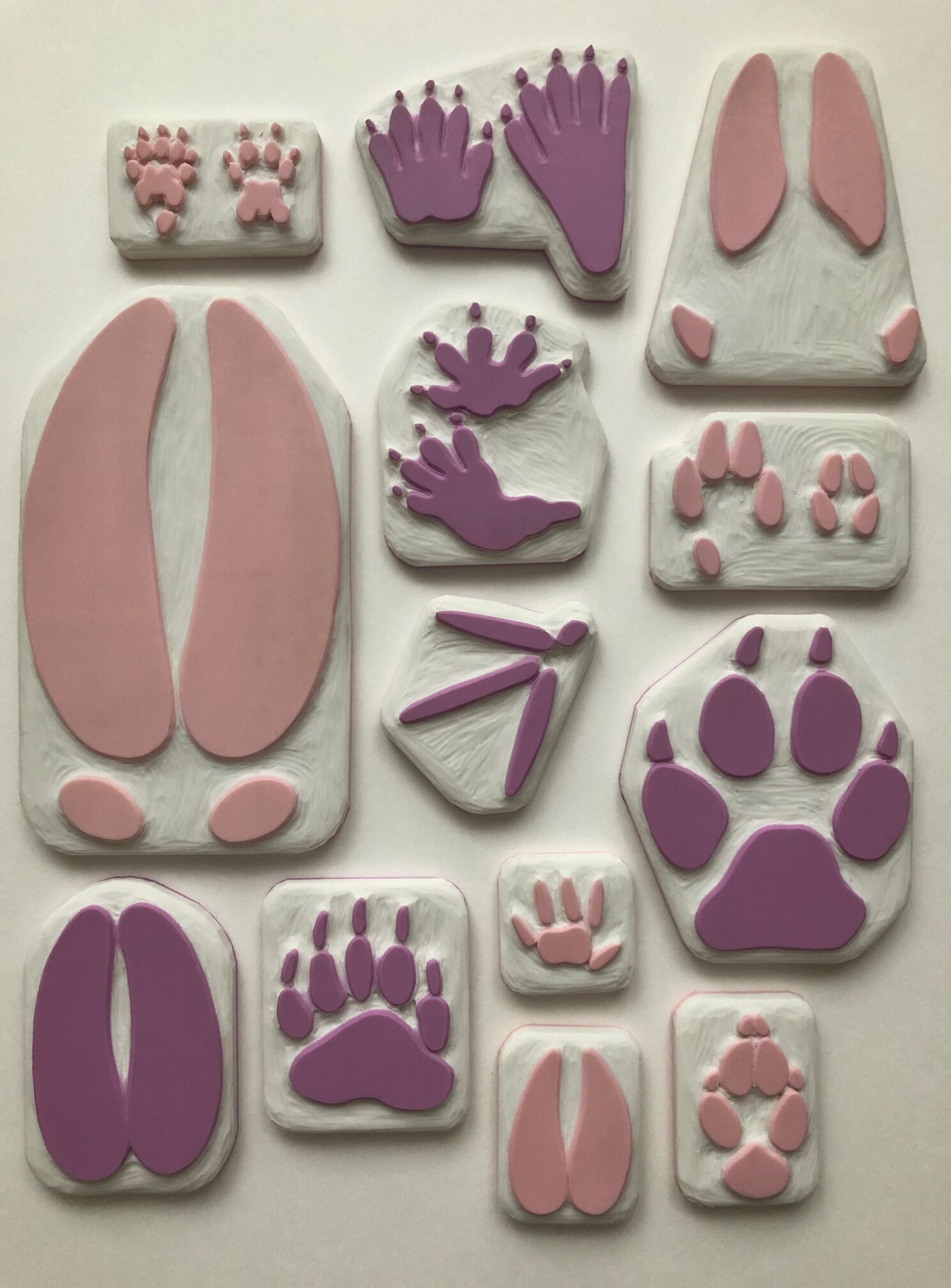 Common Forest Animals Tracks Identification Hand Carved Stamps ...