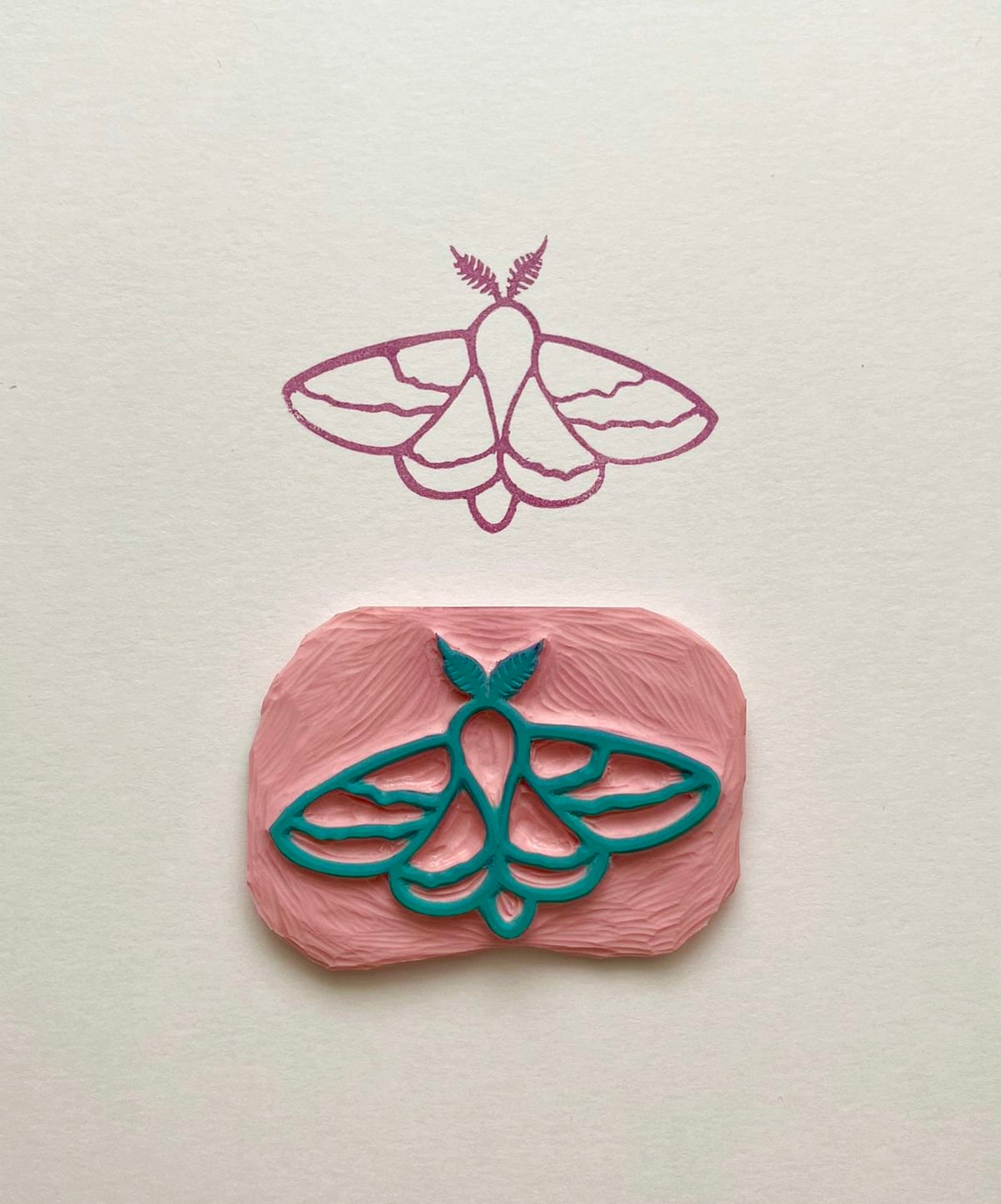 Rosy Maple Moth Hand Carved Stamp Moth Artwork Wild Stamps | Etsy