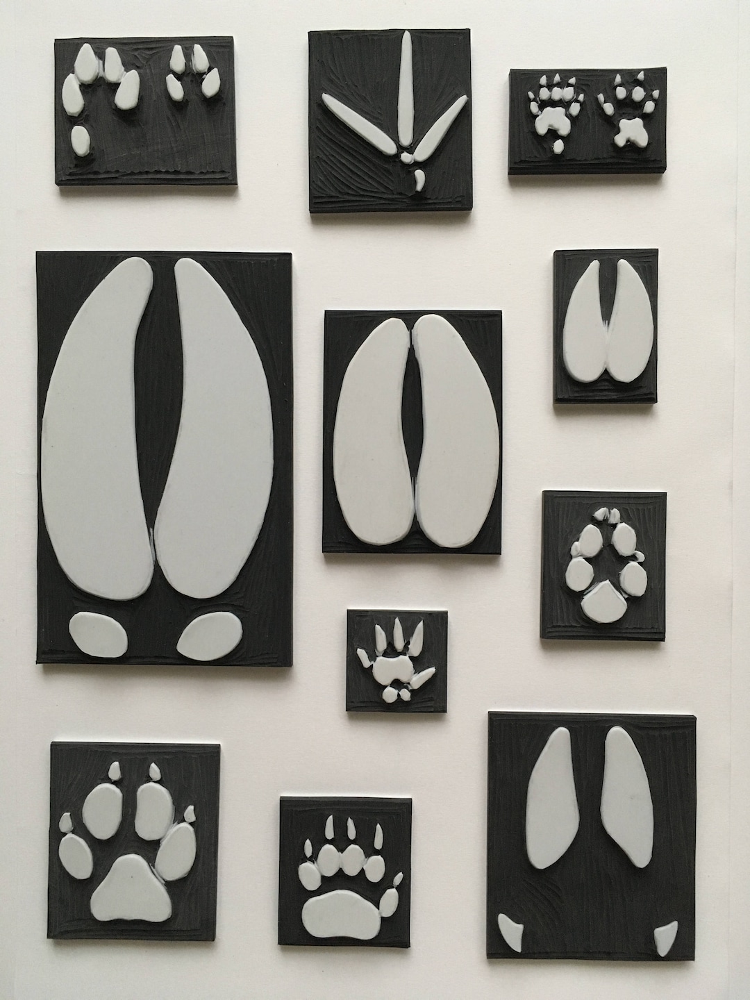 Common Forest Animals Tracks Identification Hand Carved Stamps ...