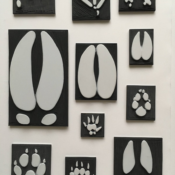 Animal Tracks - Etsy