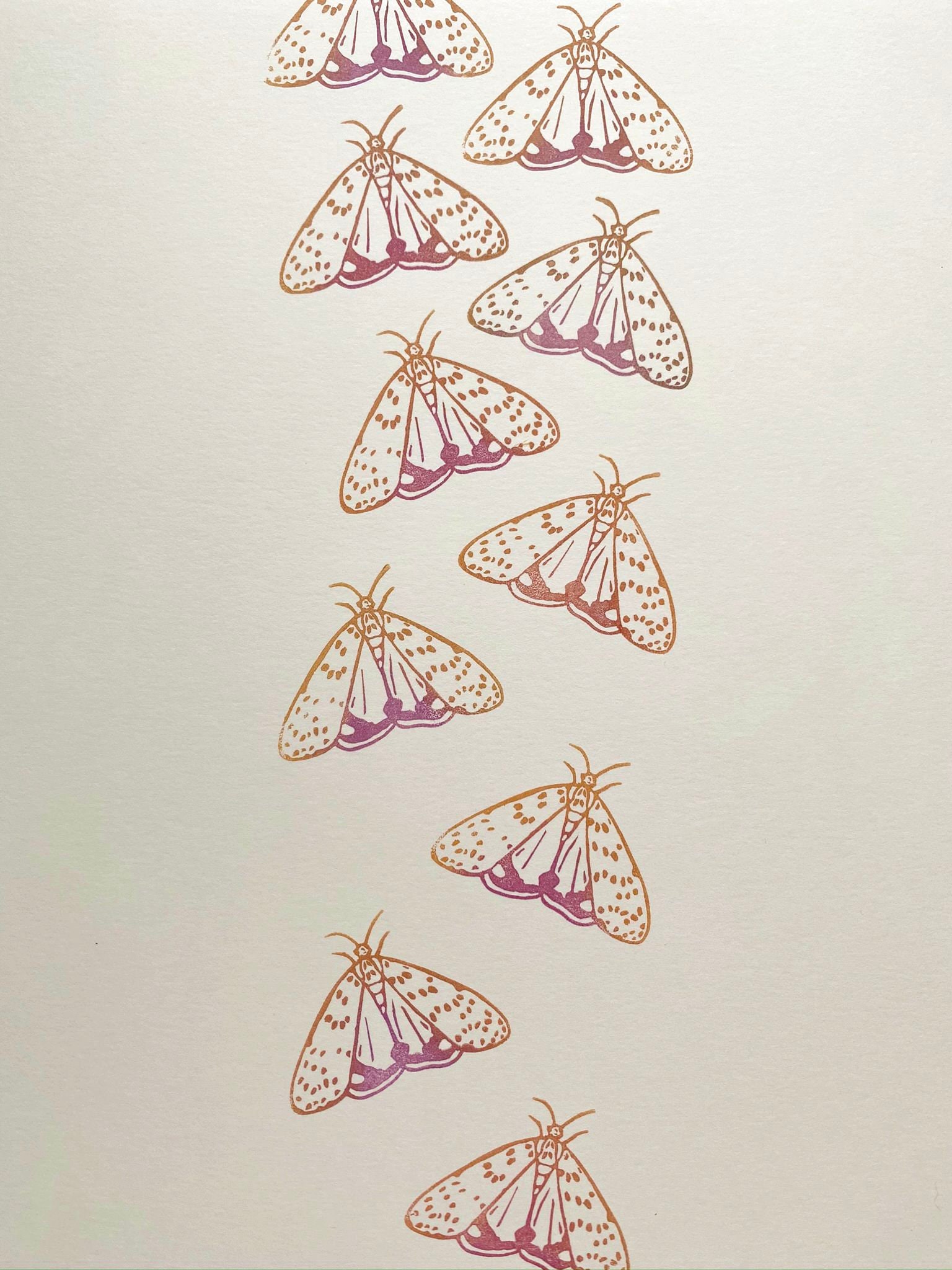 Bella Moth Utetheisa Ornatrix Rattlebox Moth Hand Carved - Etsy