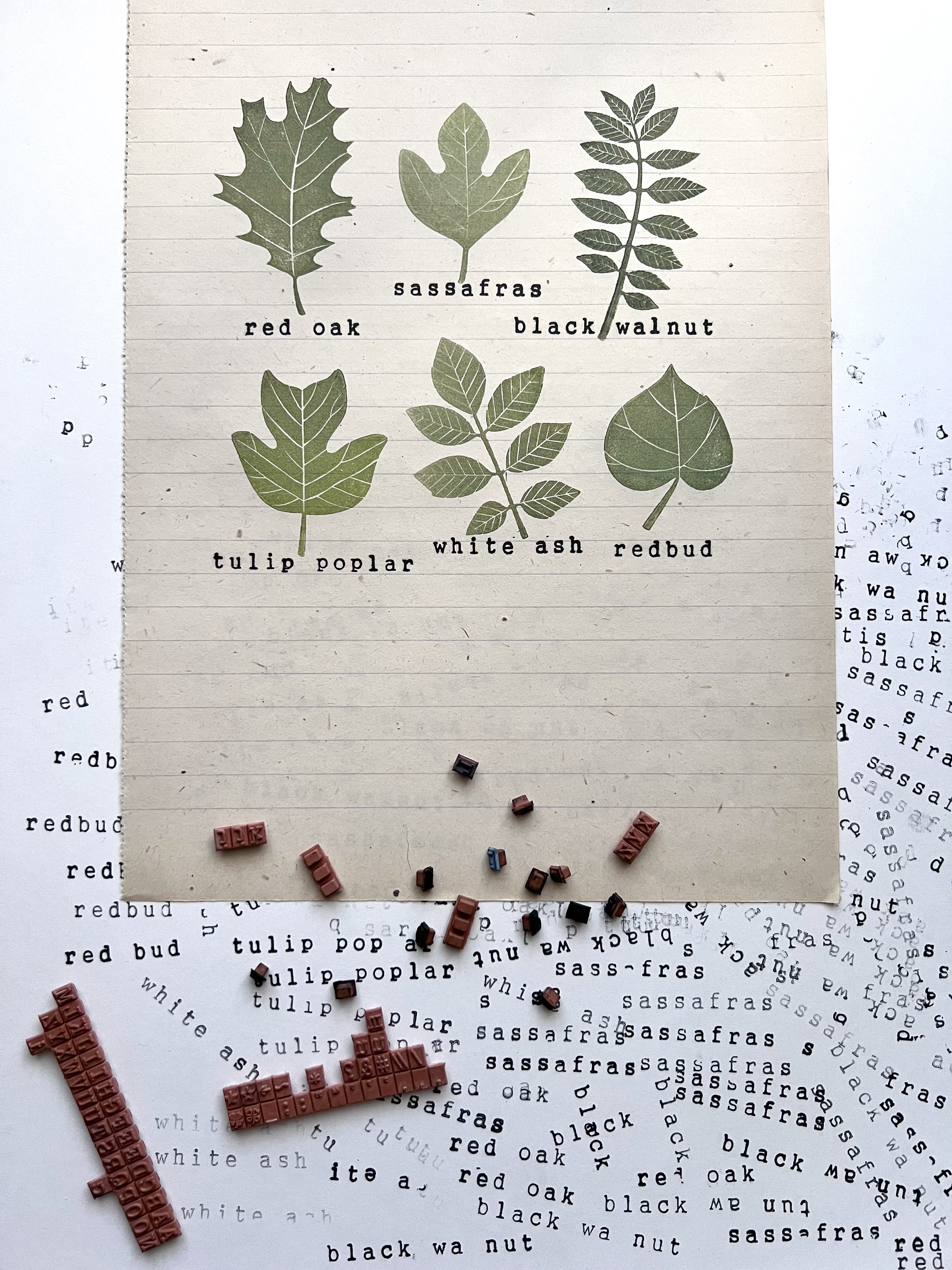 Common Trees Stamp Set, Hand Carved Botanical Stamp Set, Montessori ...