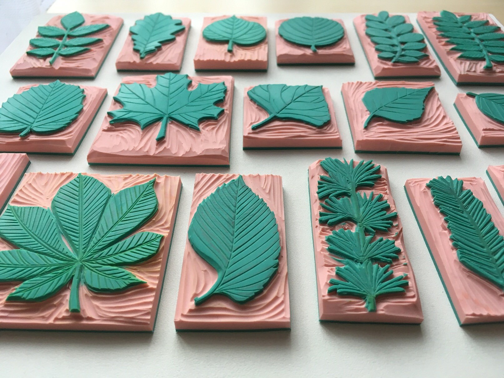 Common Tree Leaves Stamp Set of 17 Specimens Hand Carved Stamp - Etsy UK