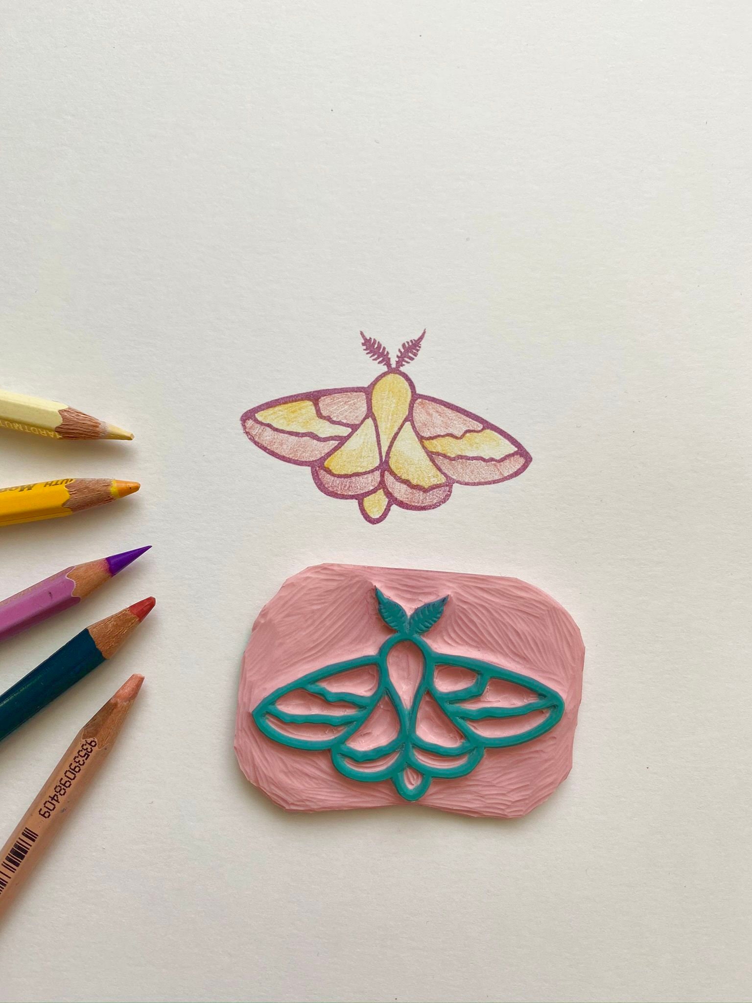Rosy Maple Moth Hand Carved Stamp Moth Artwork Wild Stamps - Etsy
