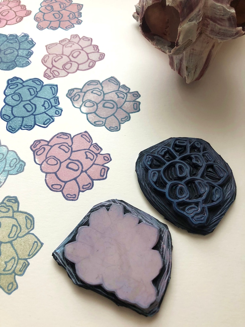 Barnacle Cluster Hand Carved Rubber Stamps Ocean Life Crafts - Etsy